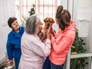 Homepage - Legacy for animals ROLDA